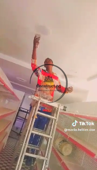 MARIO PAINTER - Construct Ng